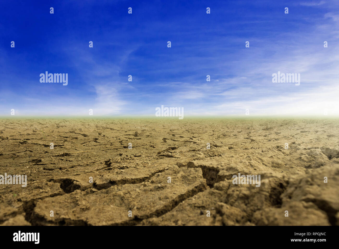 Cracked ground desert hi-res stock photography and images - Alamy