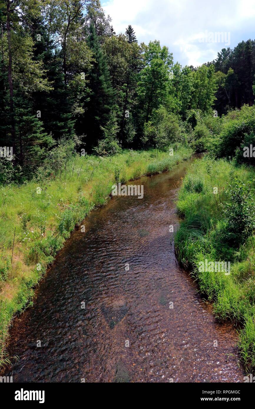 Mississippi River near its source in Lake Itasca State Park Minnesota ...