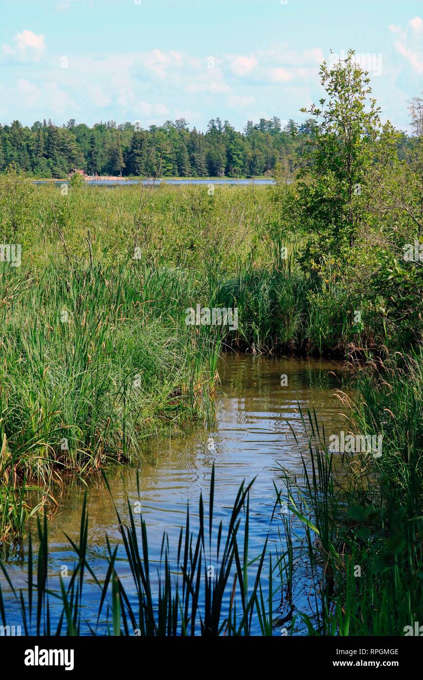 Mississippi River near its source Lake Itasca Minnesota Stock Photo - Alamy