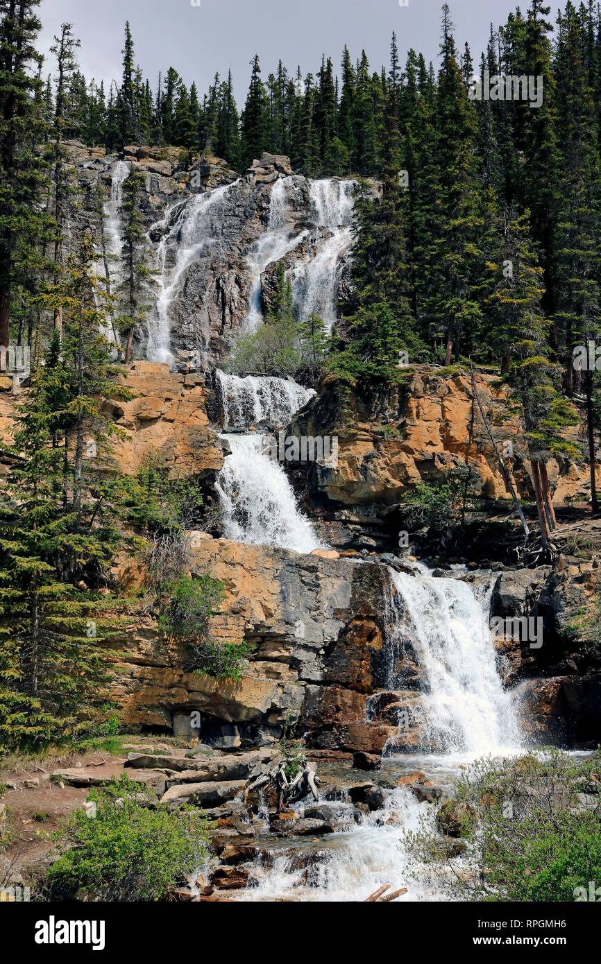 Tangle Creek Falls Jasper National Park Canada Stock Photo - Alamy