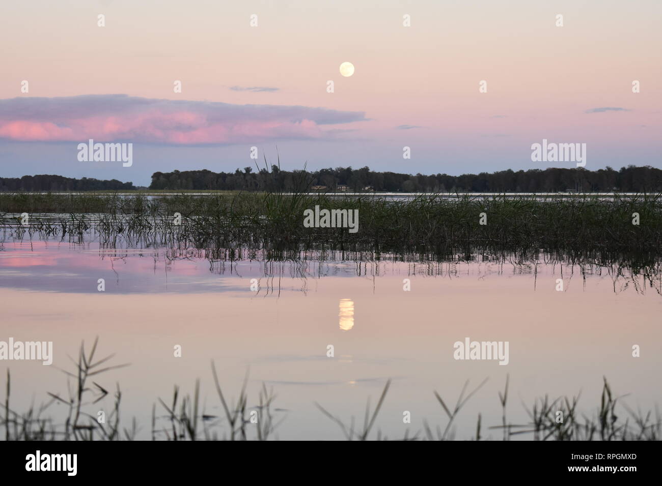 Citrus county florida hi-res stock photography and images - Alamy