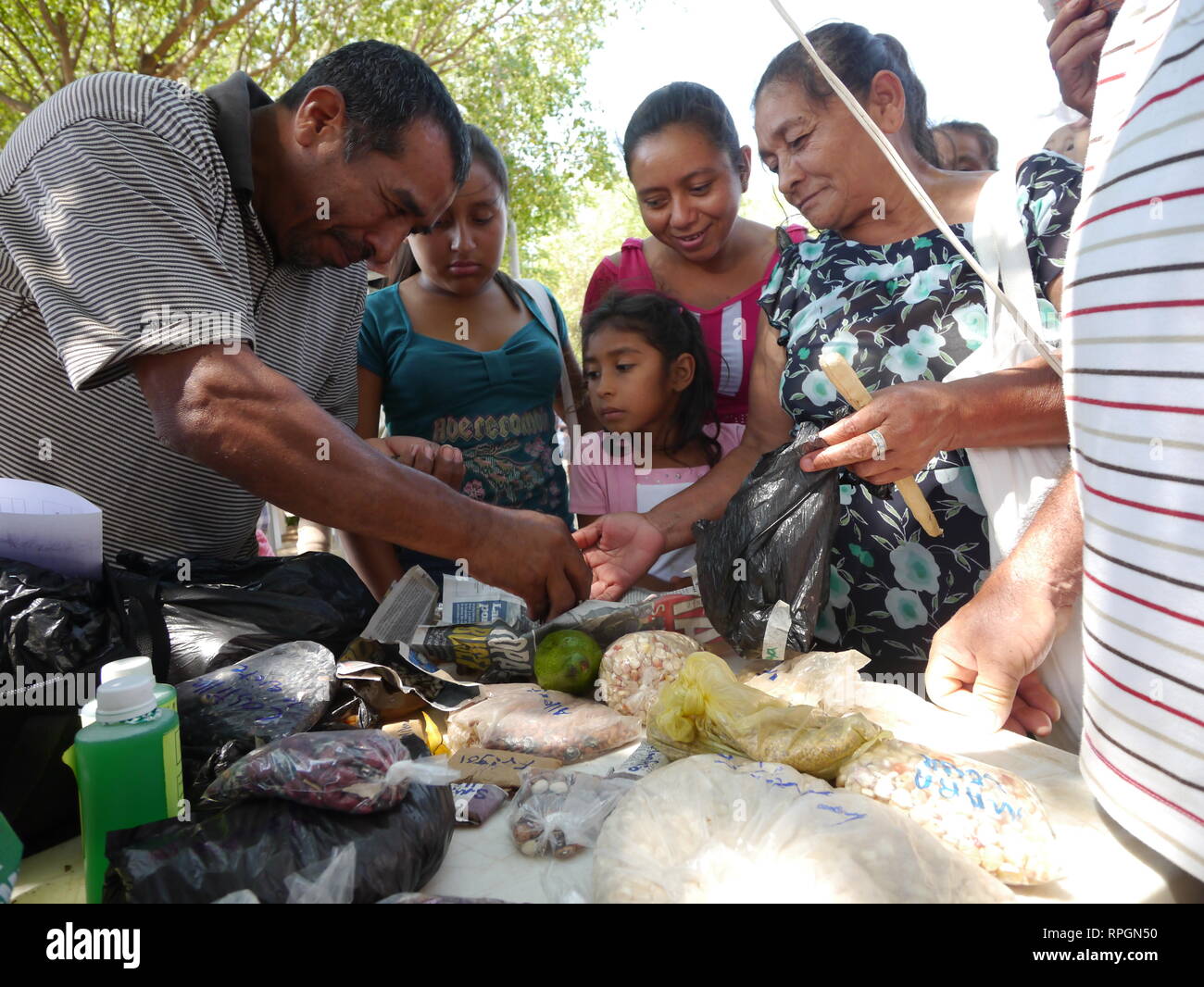 Seeds for farmers hi-res stock photography and images - Alamy