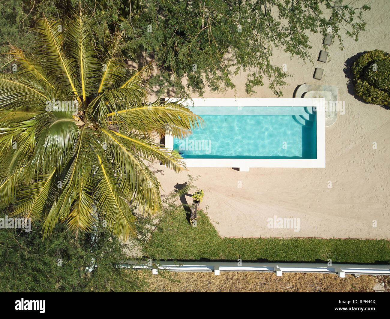 Small swimming pool above top view with palm tree Stock Photo - Alamy