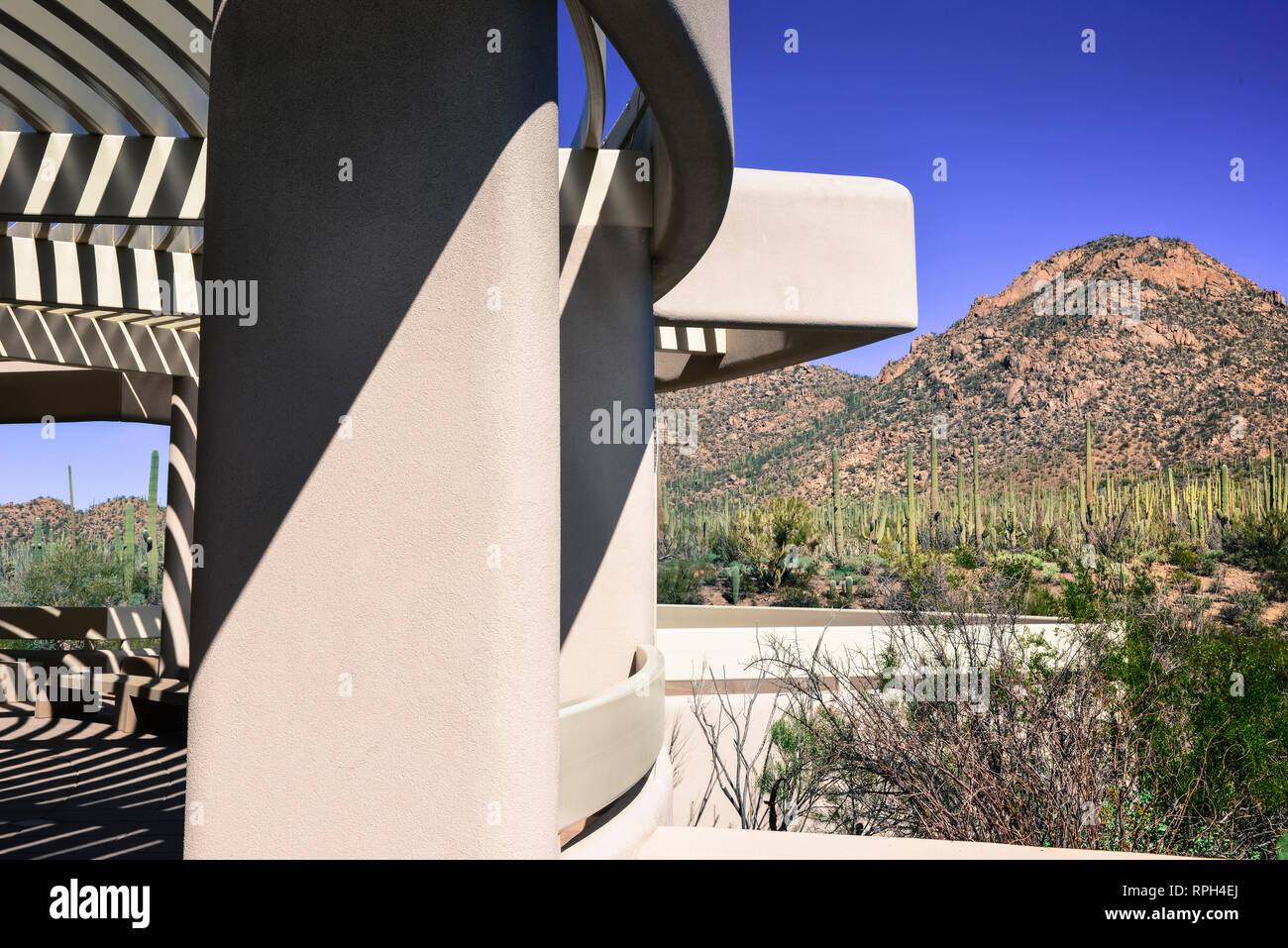 The modern architecture and saguaro cacti area around the the Arizona ...