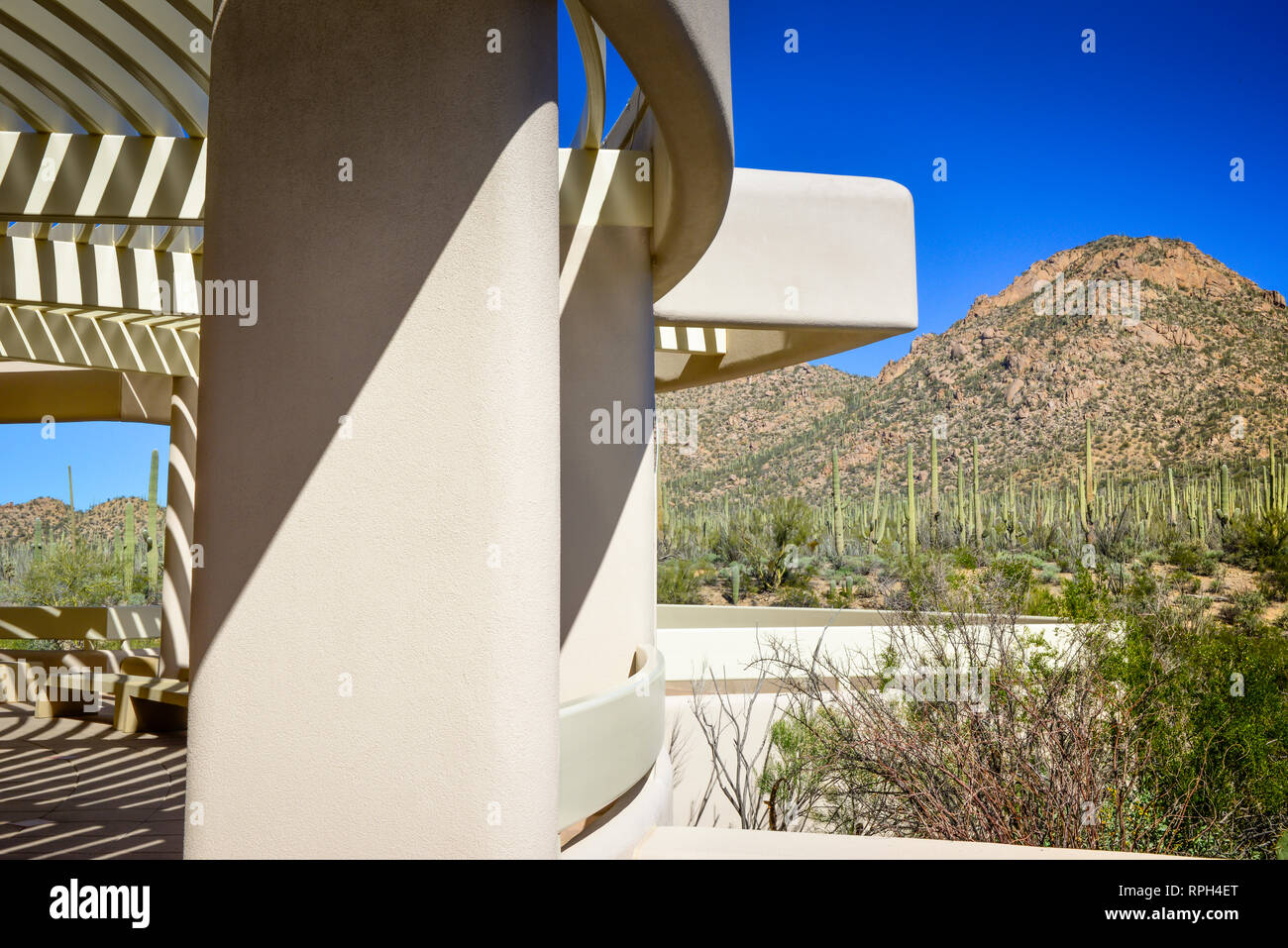 The modern architecture and saguaro cacti area around the the Arizona ...