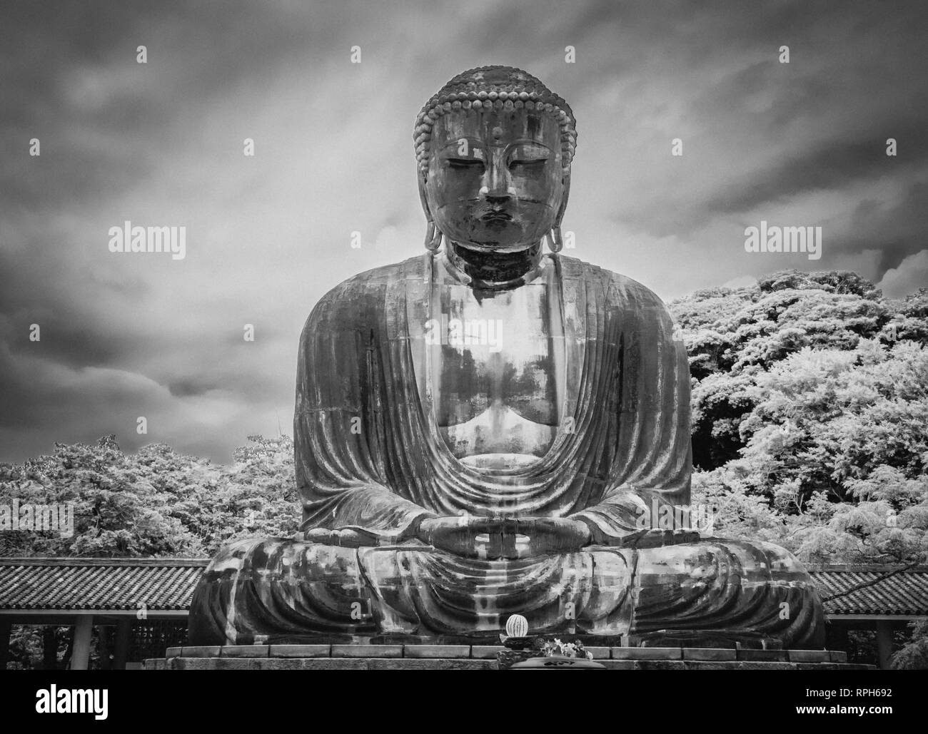 World famous Daibutsu Buddha - the Great Buddha Statue in Kamakura ...