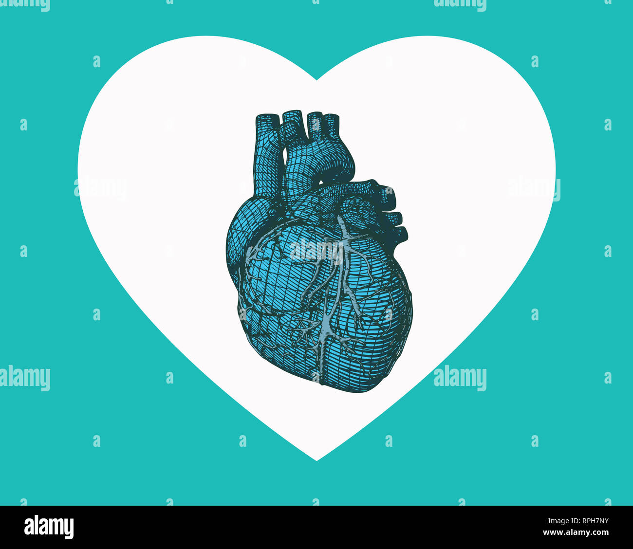 Blue stylized wireframe human heart isolated on white heart symbol with ...