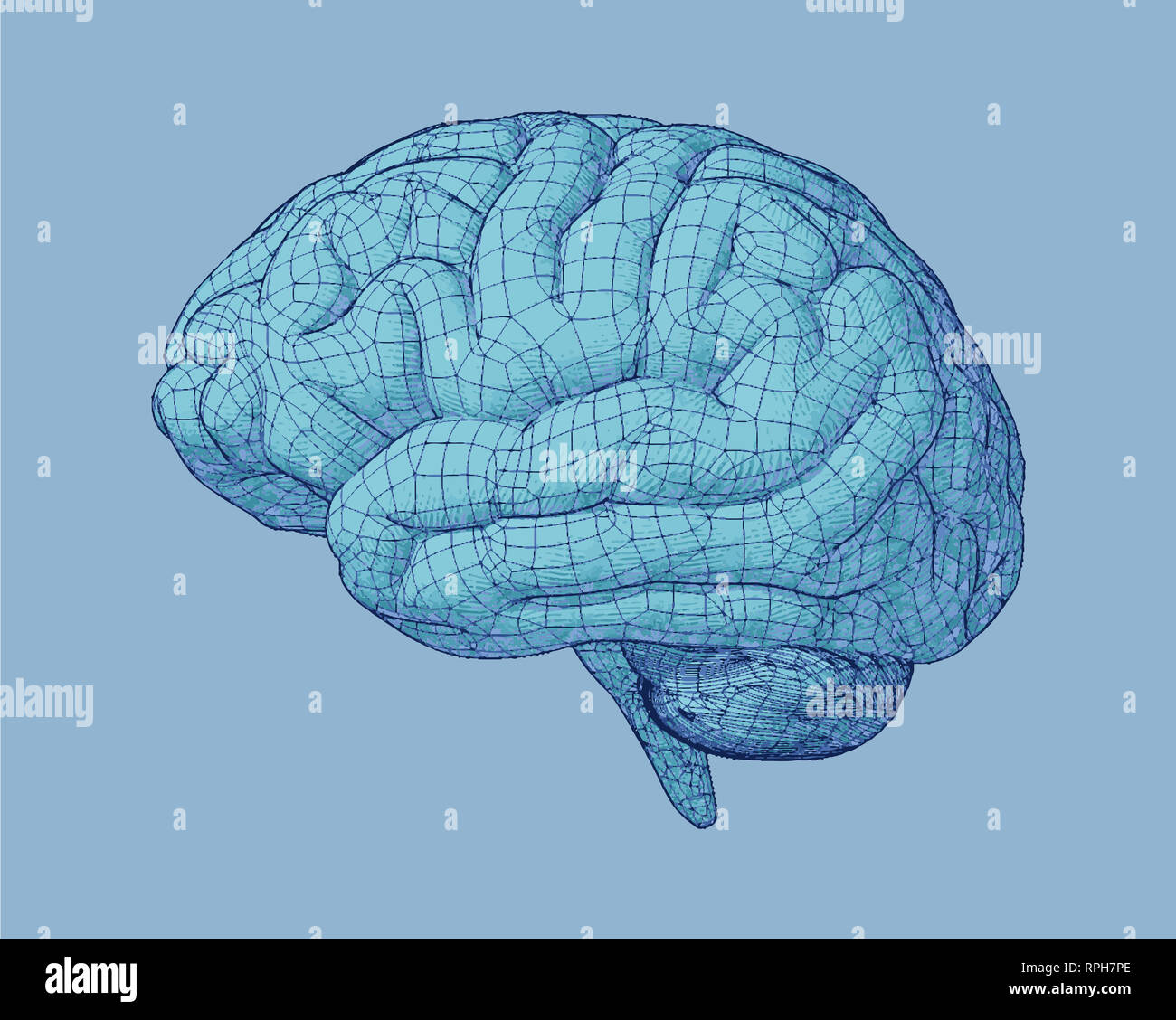 Brain wireframe in side view with water color and drawing style ...