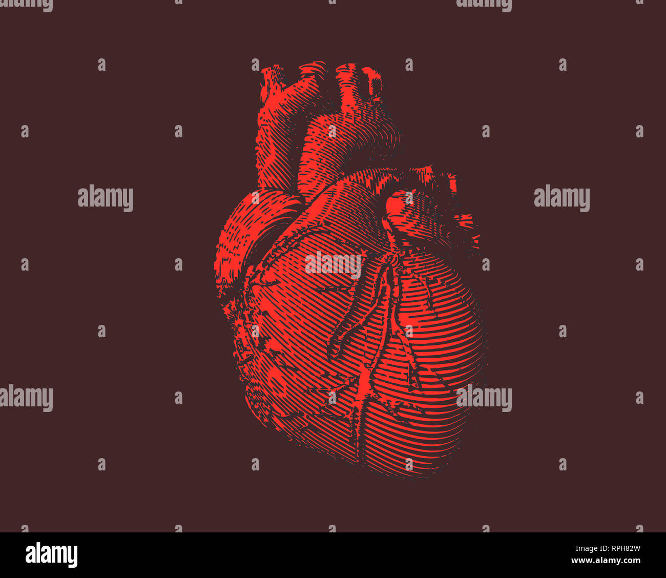 Engraving colorful red human heart illustration on brown background ...