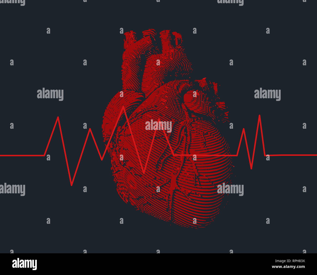 Engraving colorful red human heart illustration on dark background with ...