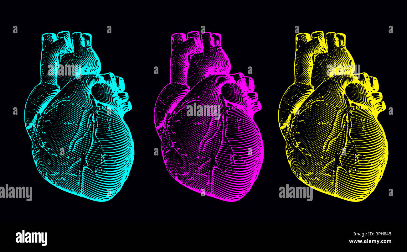 Engraving human heart illustration set isolated on black background ...