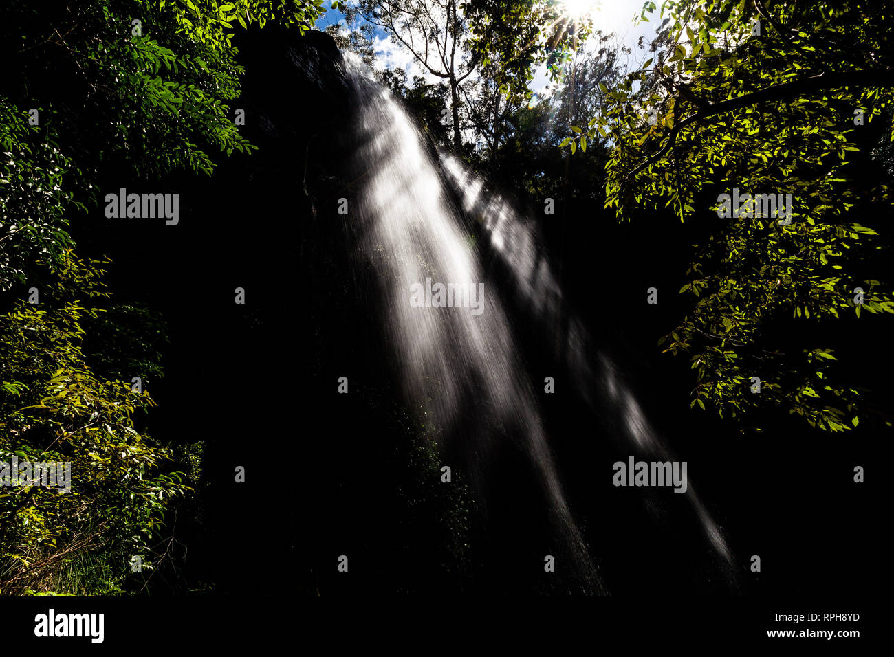 Sun shining through rainforest hi-res stock photography and images - Alamy
