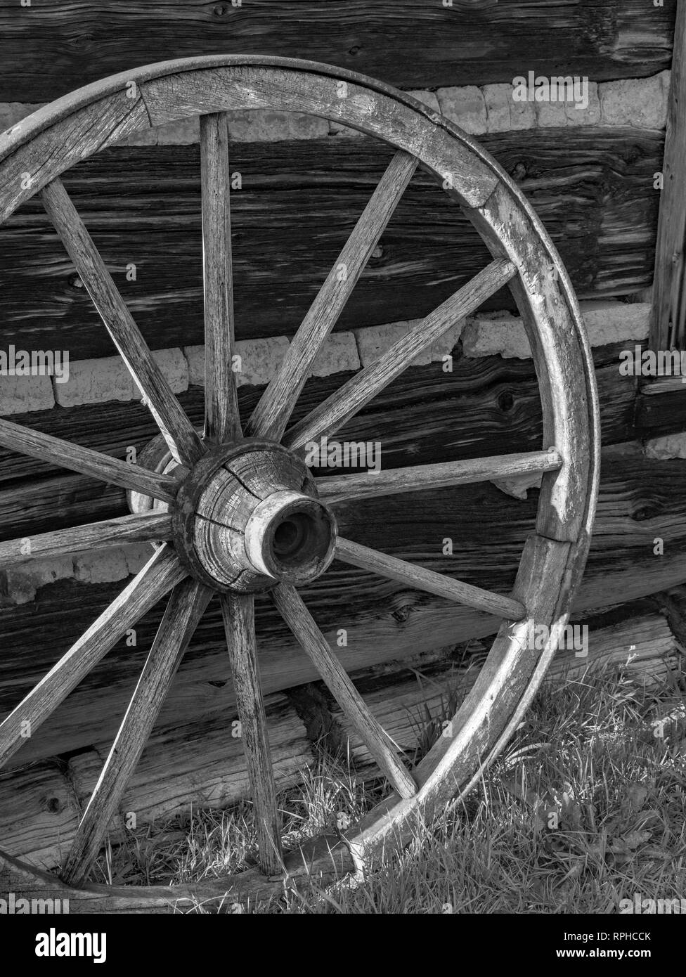 Weathered antique wagon wheel leaning against an old barn with split ...