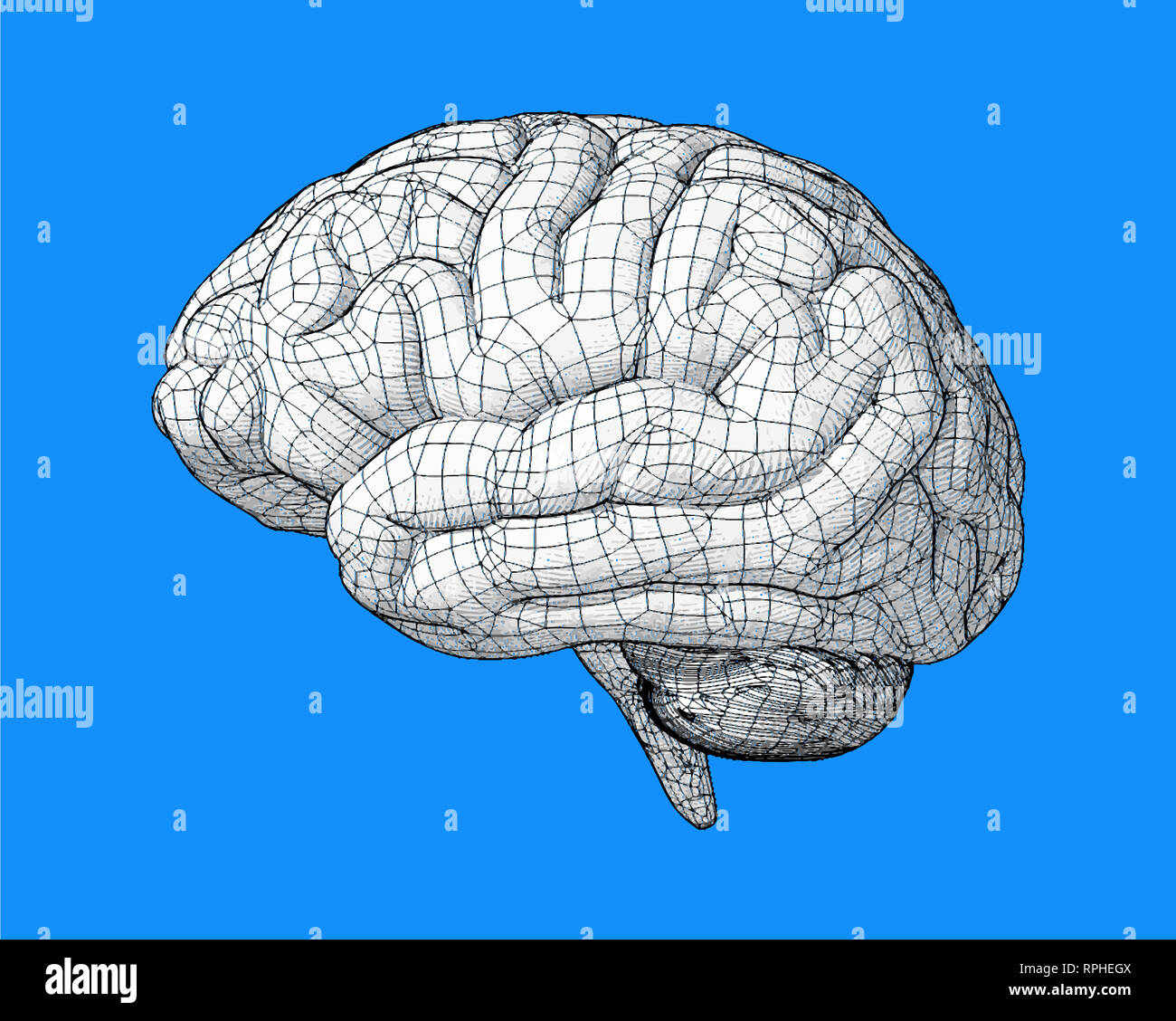 Monochrome brain drawing side view with wireframe illustration on blue ...