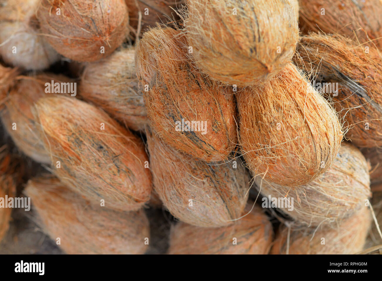 Close up view of pile of coconuts Stock Photo - Alamy
