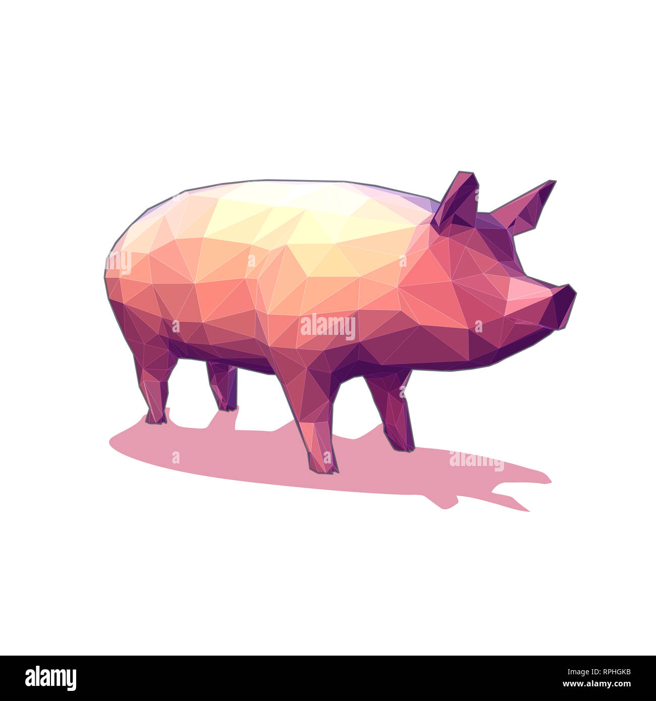 Low polygon vector 3D pig illustration isolated on white background ...