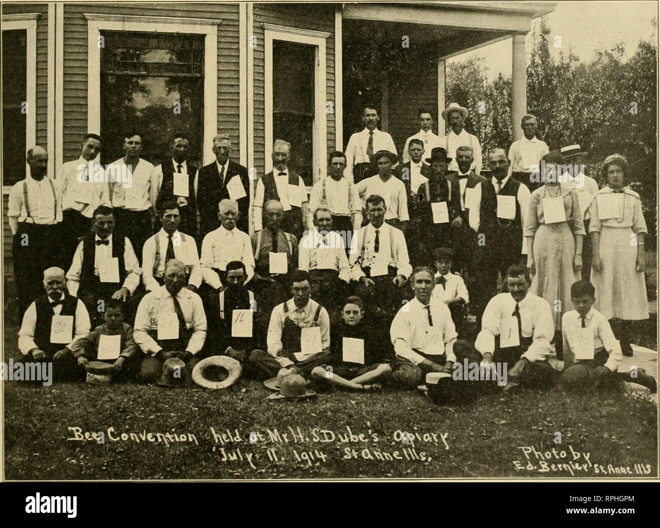 Rest harrow sand hi-res stock photography and images - Alamy