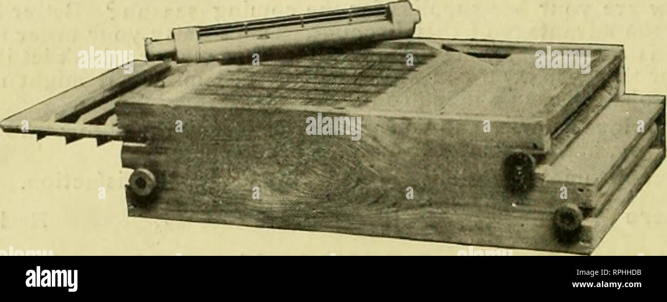 Drone bee mating hi-res stock photography and images - Alamy