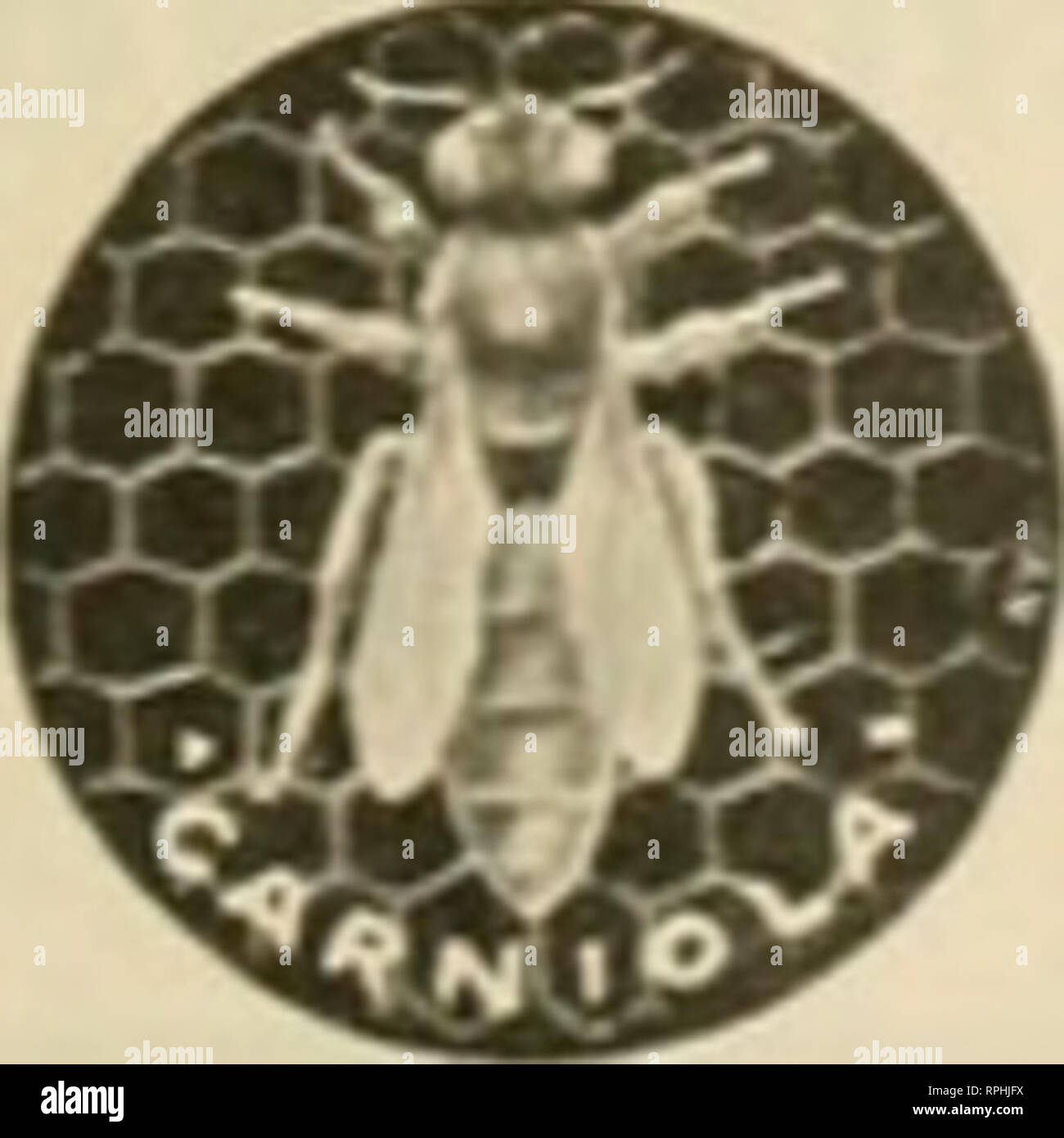 . American bee journal. Bee culture; Bees. QUINN'S QUEENS OF QUALITY ...