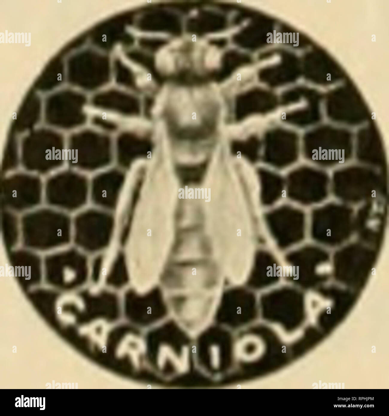 Mendel's laws hi-res stock photography and images - Alamy