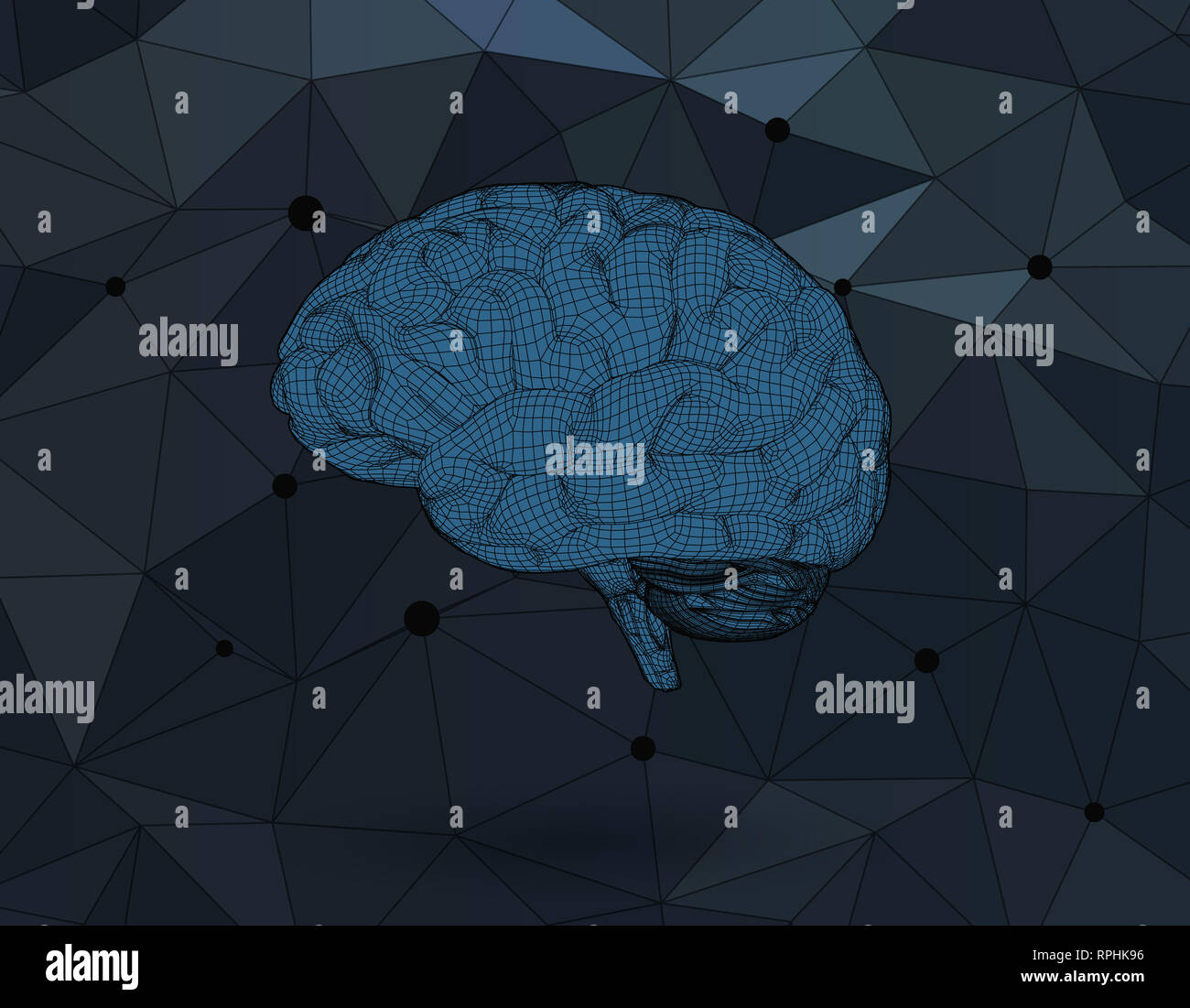 3D Wireframe polygonal brain graphic illustration side view on blue ...