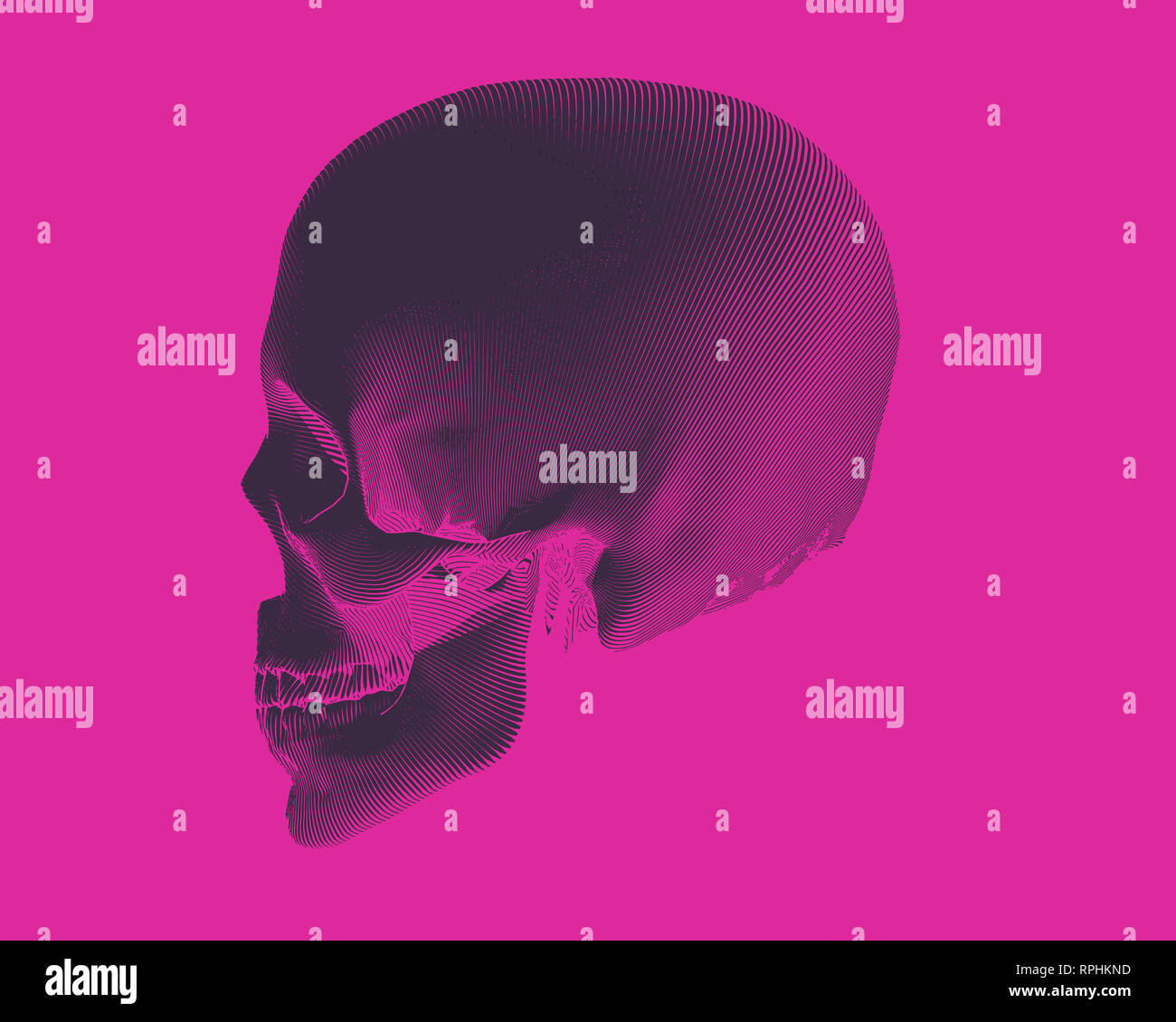 Dark negative engraving skull illustration side view on powerful pnk ...