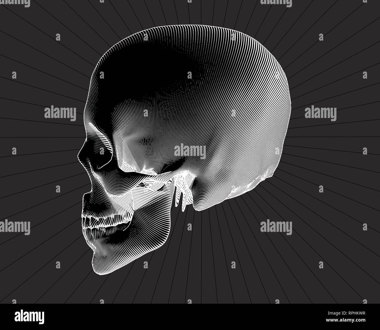 Engraving negative mono skull illustration in side view on dark gray ...