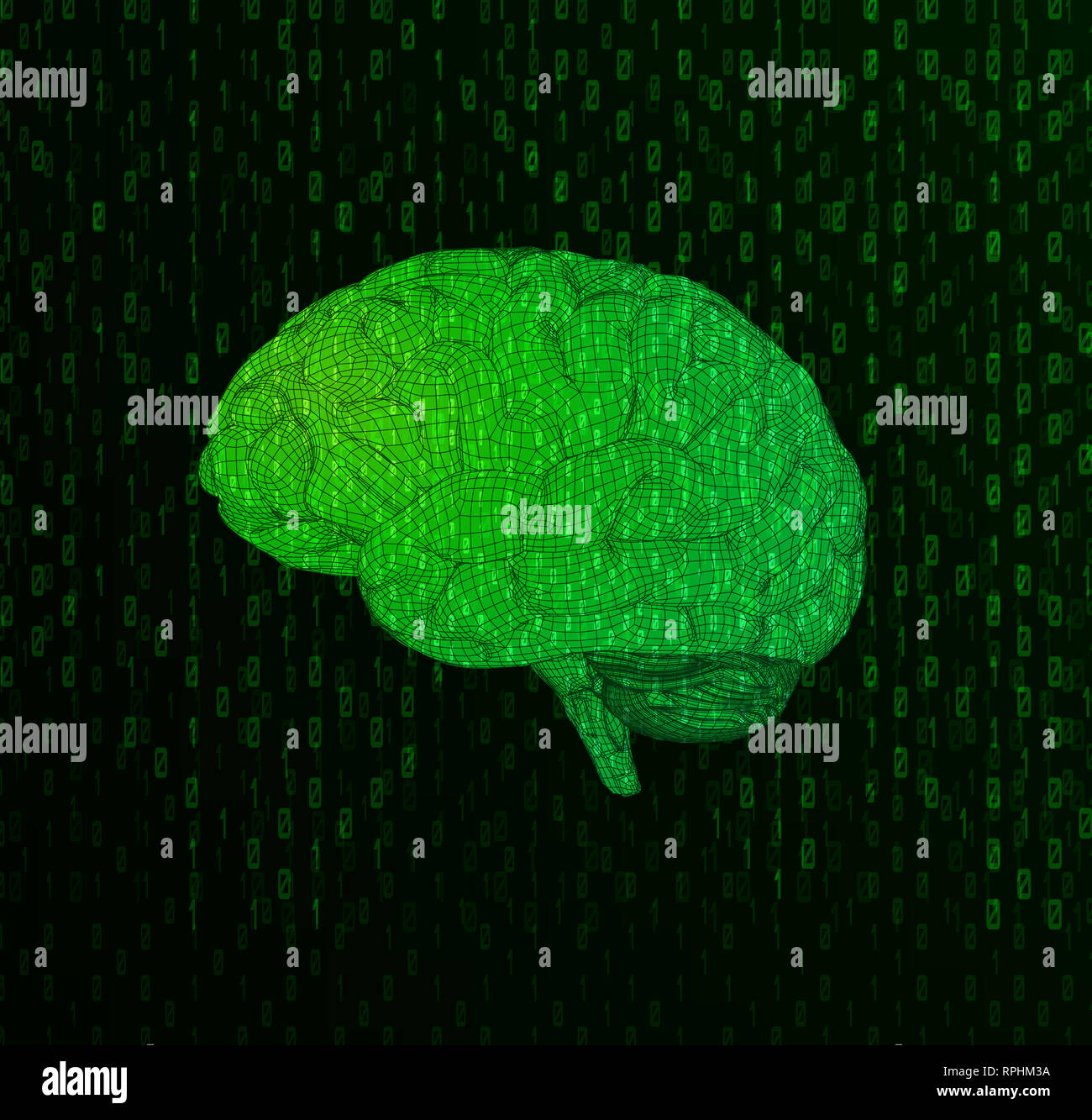 Green 3d wireframe polygonal brain graphic illustration on binary ...