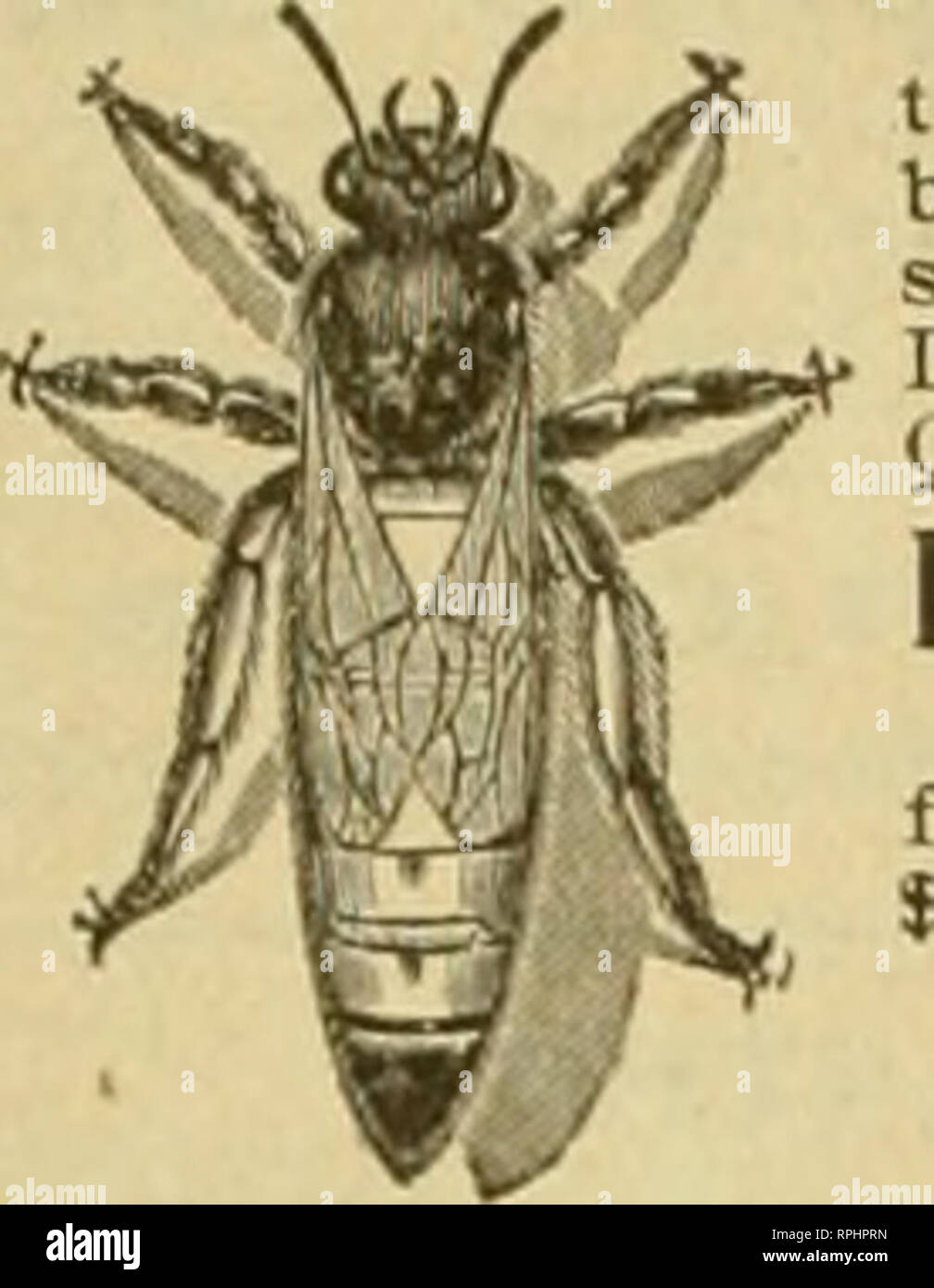 Bools hi-res stock photography and images - Alamy