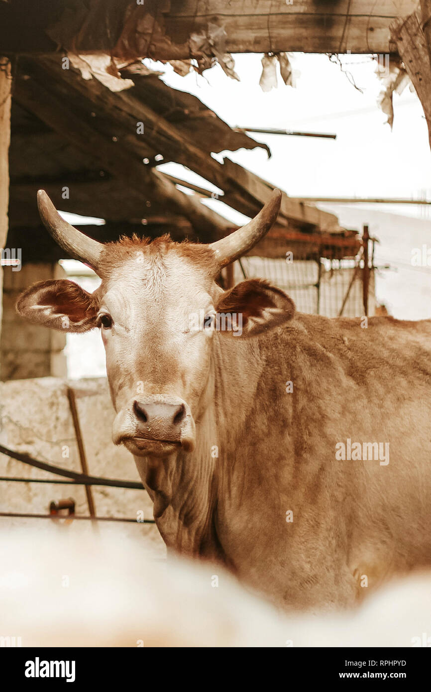 Mexican Farmland High Resolution Stock Photography and Images - Alamy