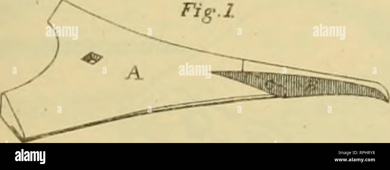 Copt point hi-res stock photography and images - Alamy