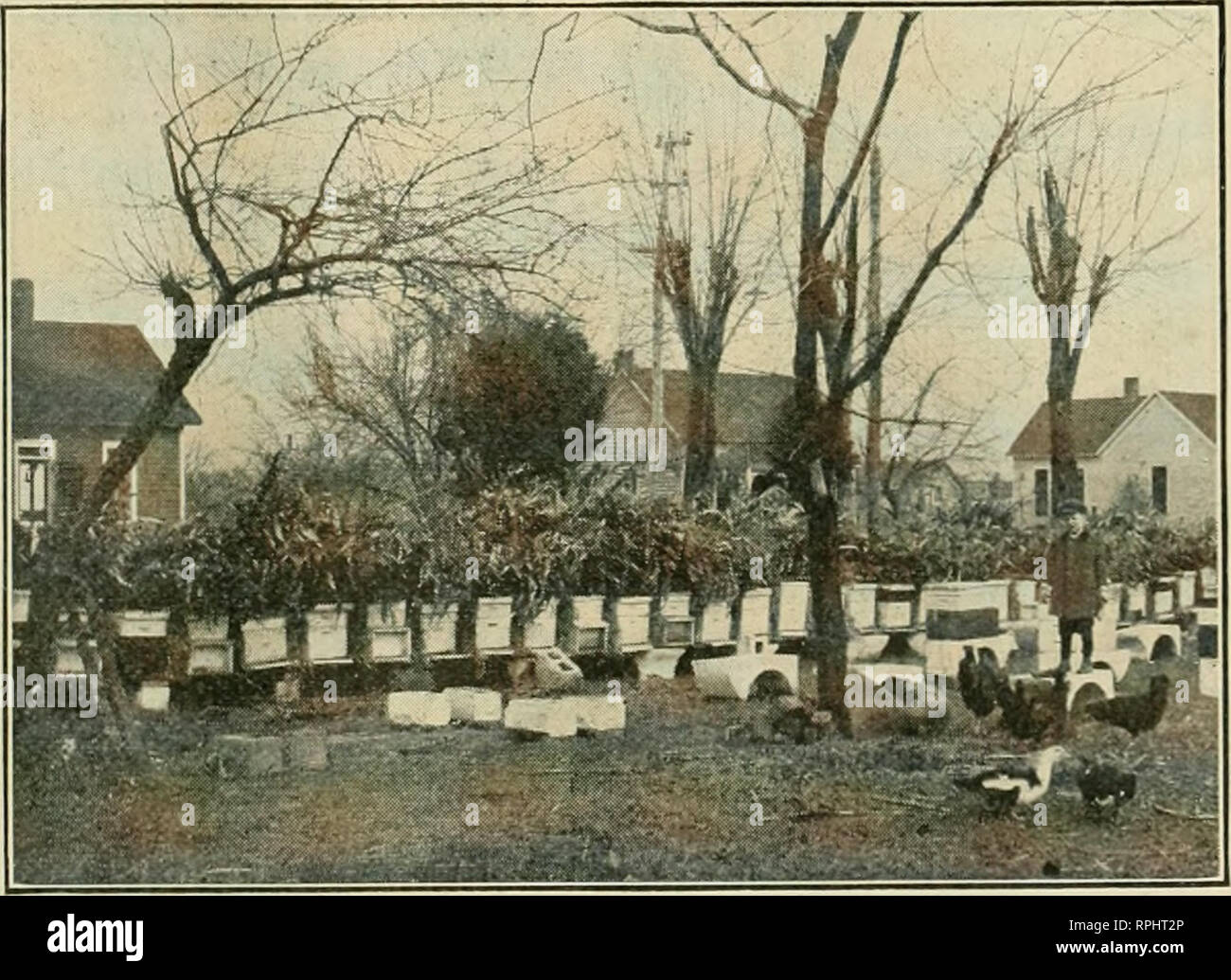 Bee colony rent hi-res stock photography and images - Alamy