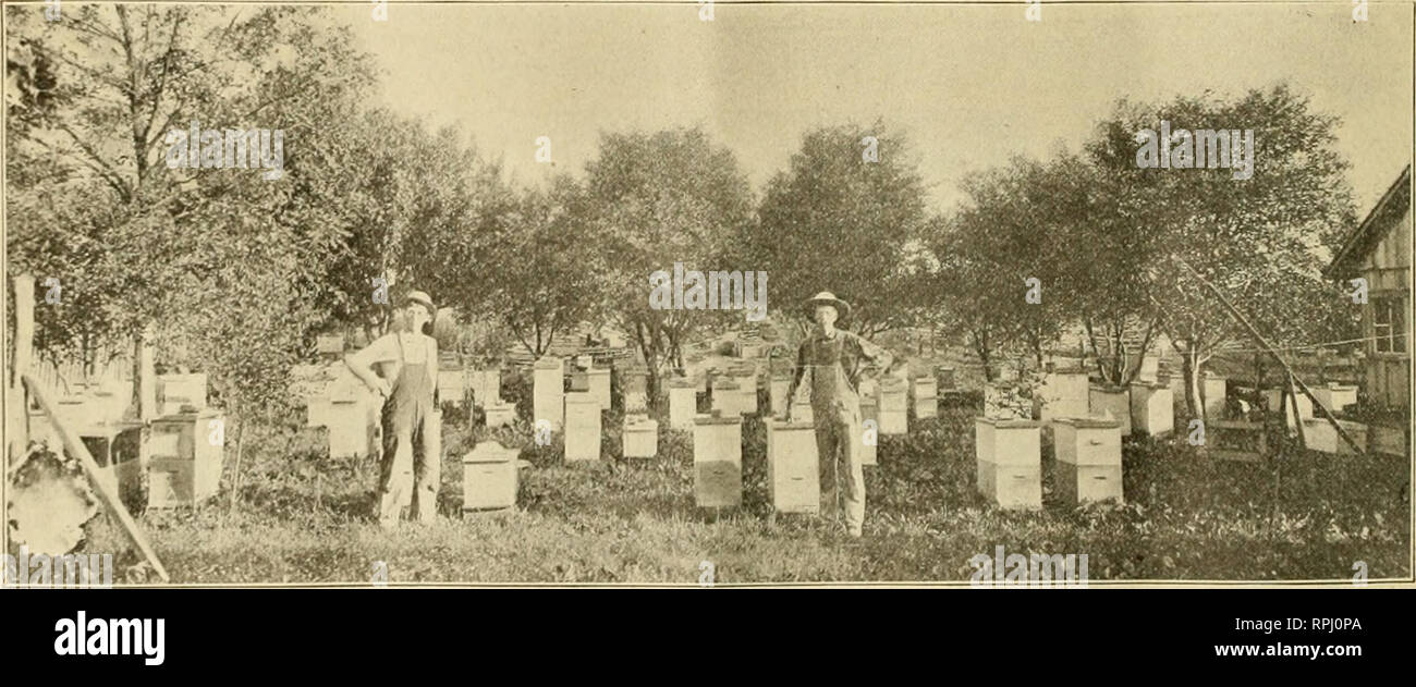 Cerotic acid hi-res stock photography and images - Alamy