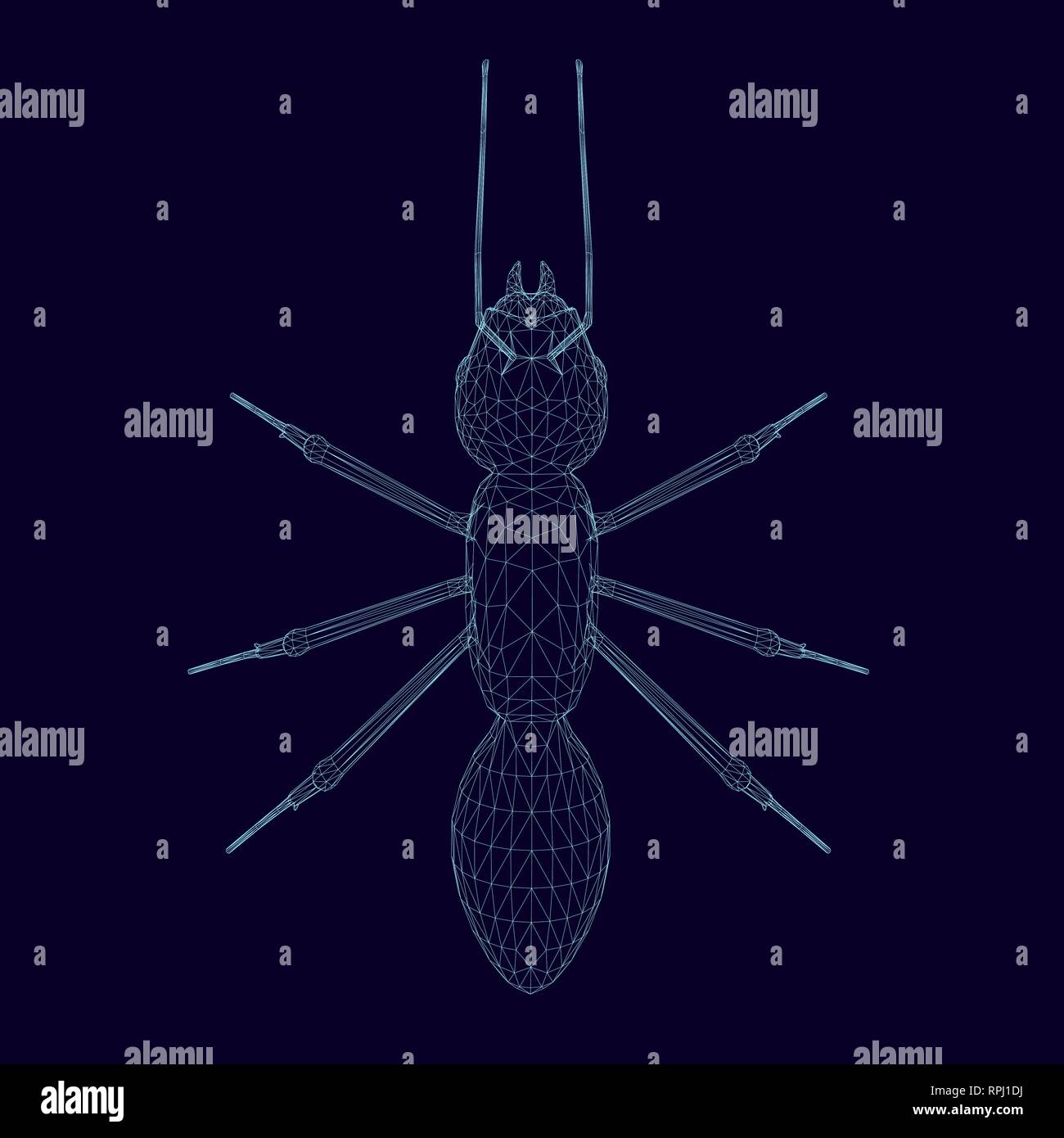 Ant wireframe made of blue lines. Polygonal ant on a dark background ...
