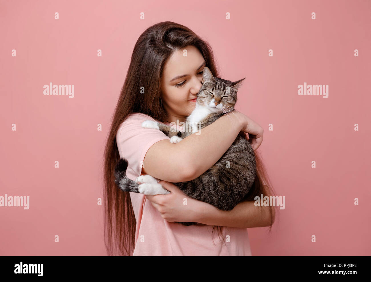 young attractive woman hugging a cat on pink background, girl kiss cat ...