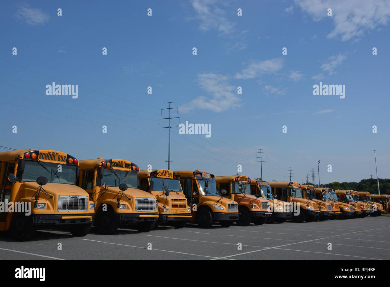 A large fleet of school buses from many perspectives as they are parked ...