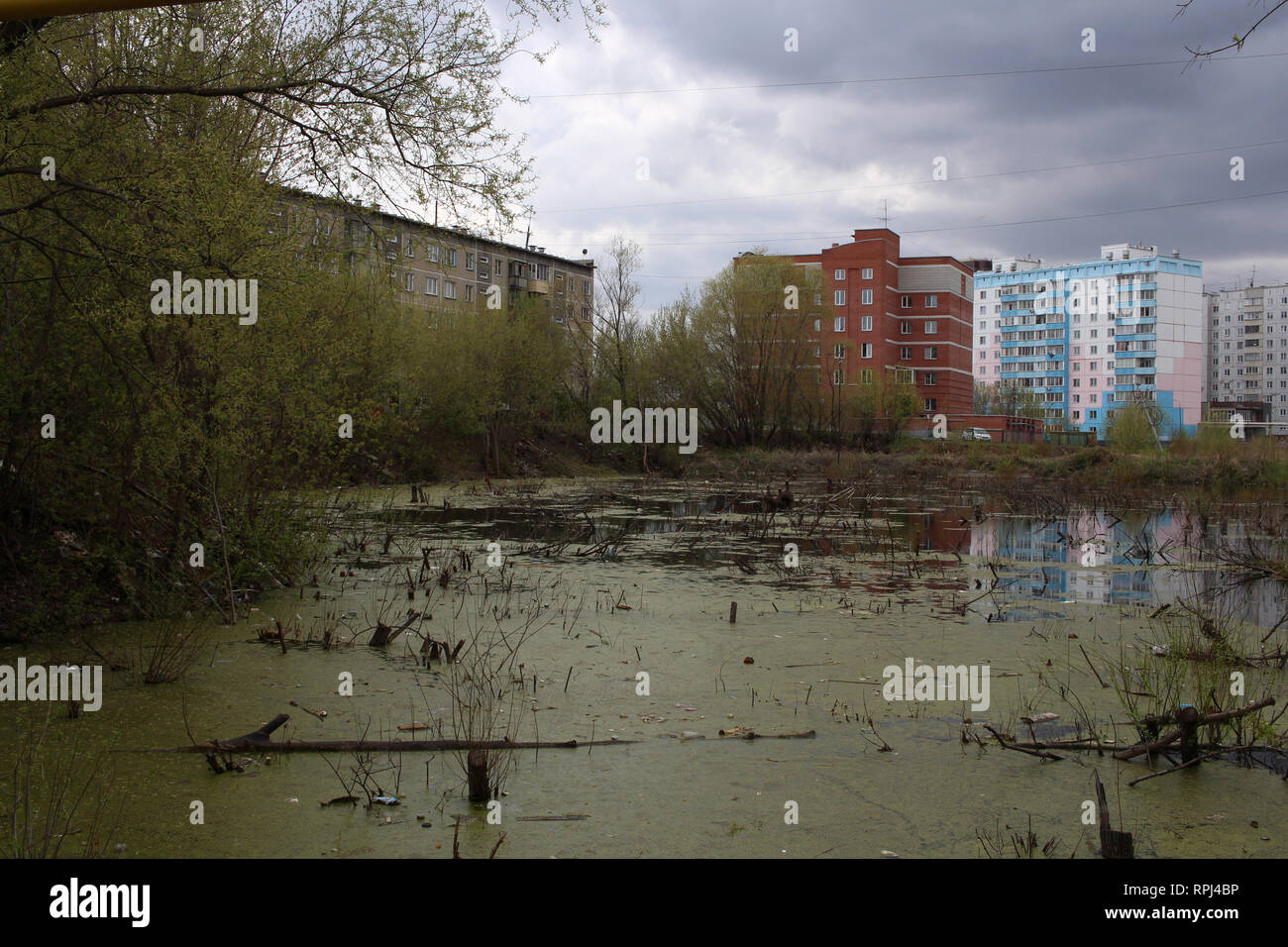city suburb residential houses are built on dirty swamp with garbage ...