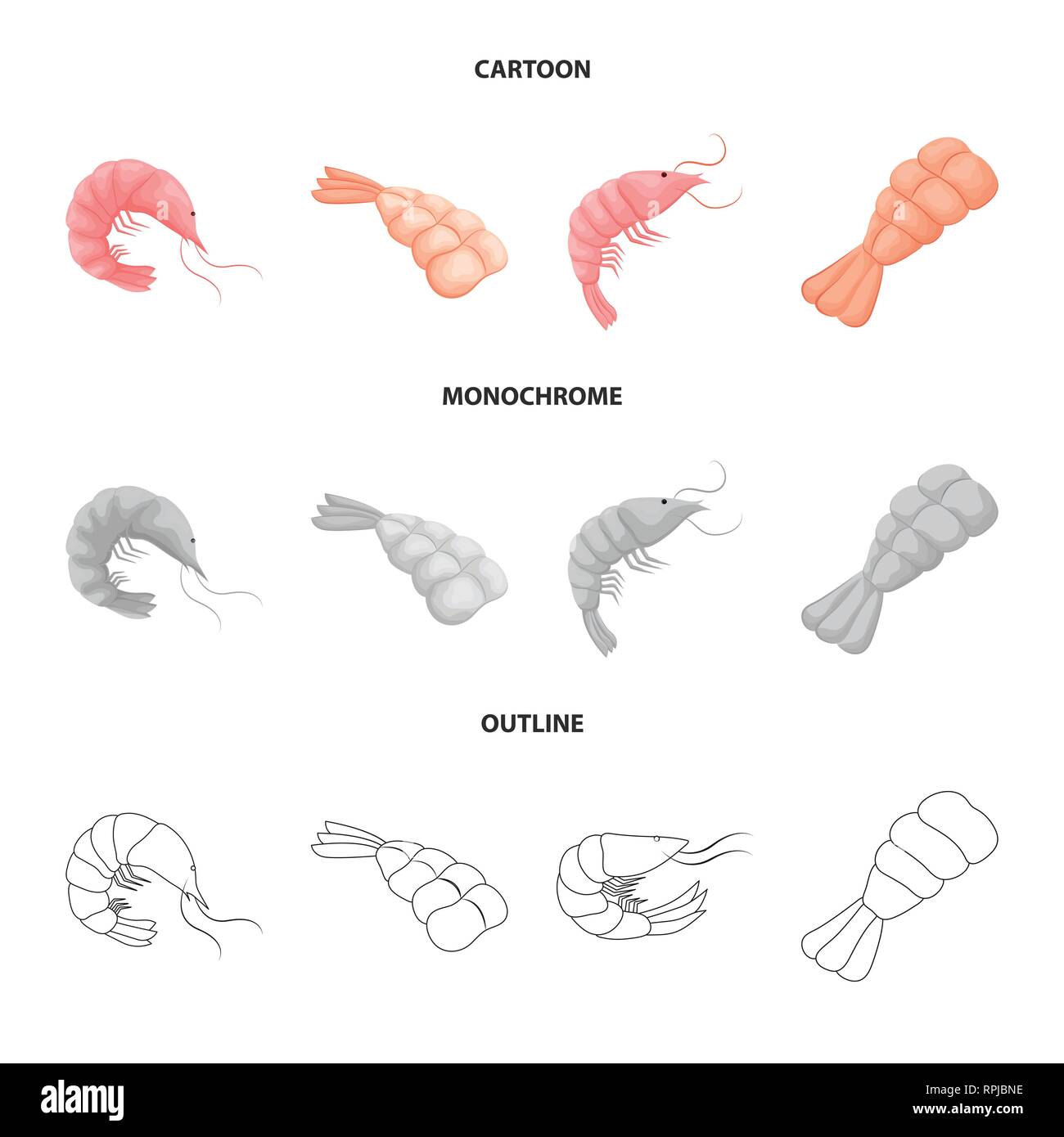 prawn,creature,raw,boiled,cooked,fresh,luxury,restaurant,underwater ...