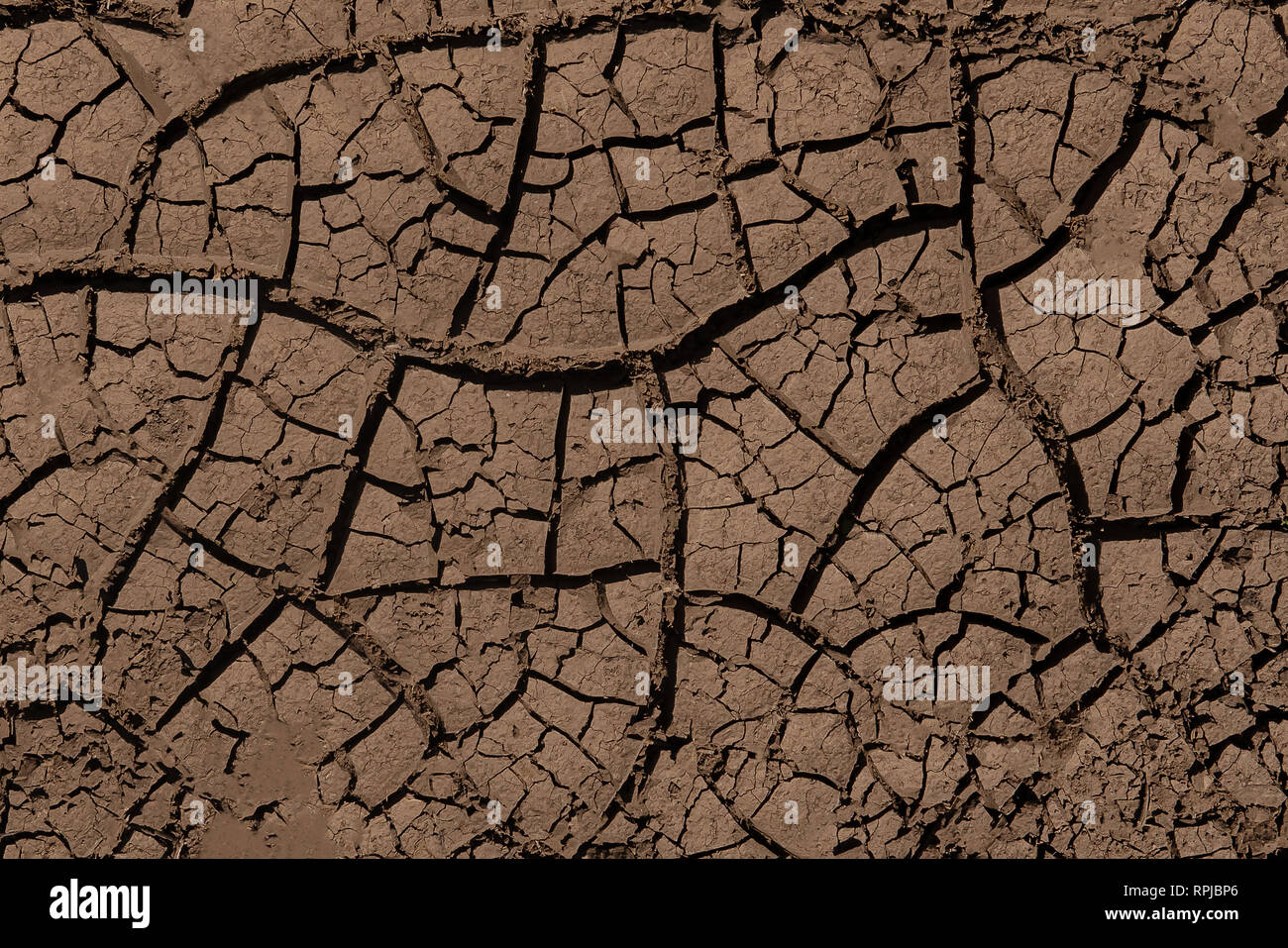 Dry land. Cracked ground background, top view Stock Photo - Alamy