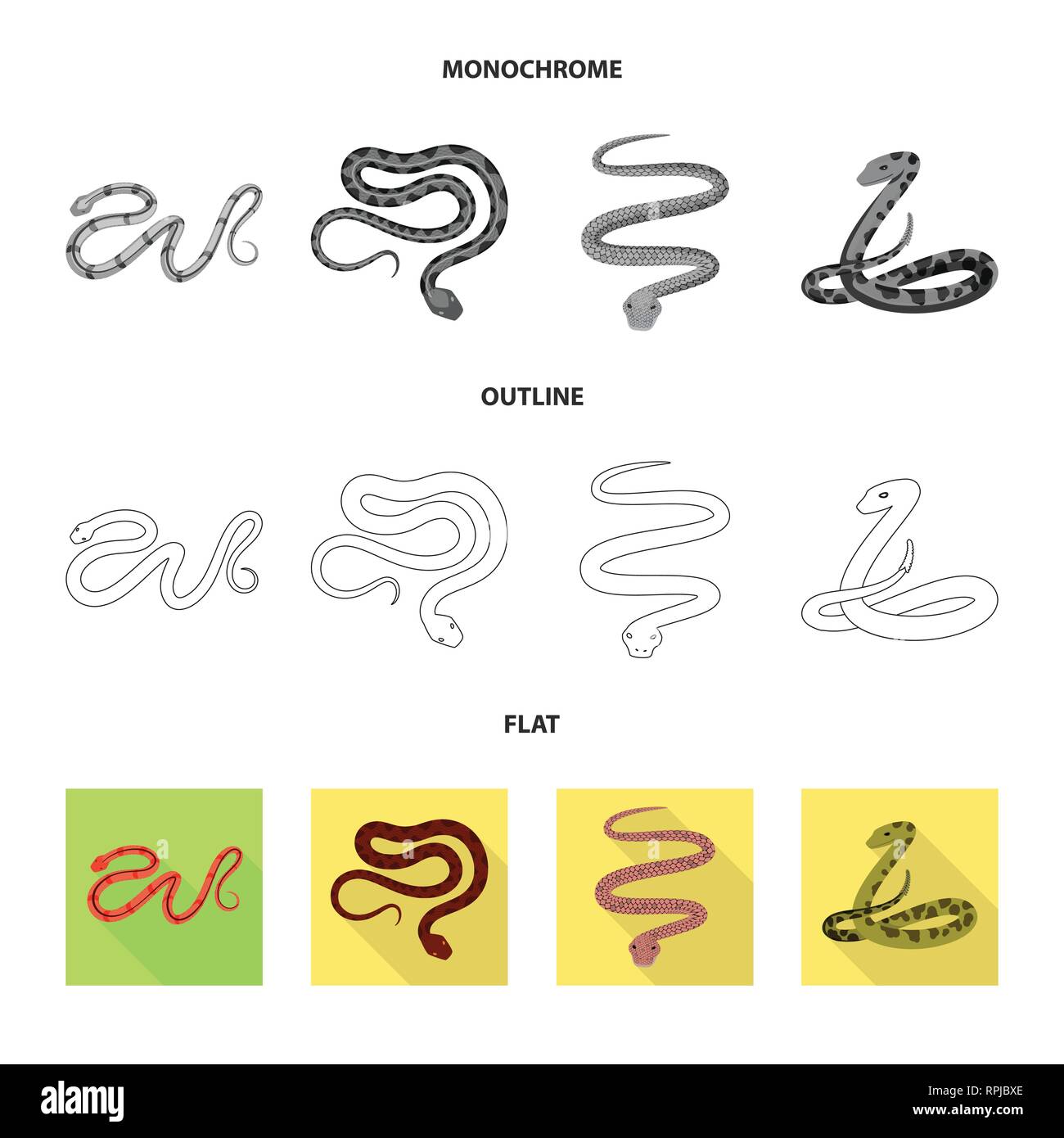 snake,viper,tail,python,spiral,forest,animal,brazil,seamless,tropical ...