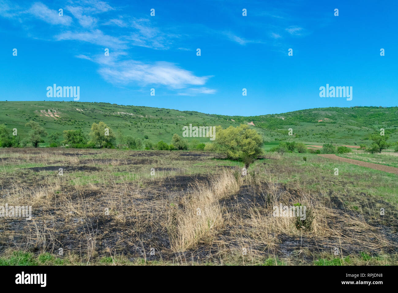 Burned field hi-res stock photography and images - Alamy