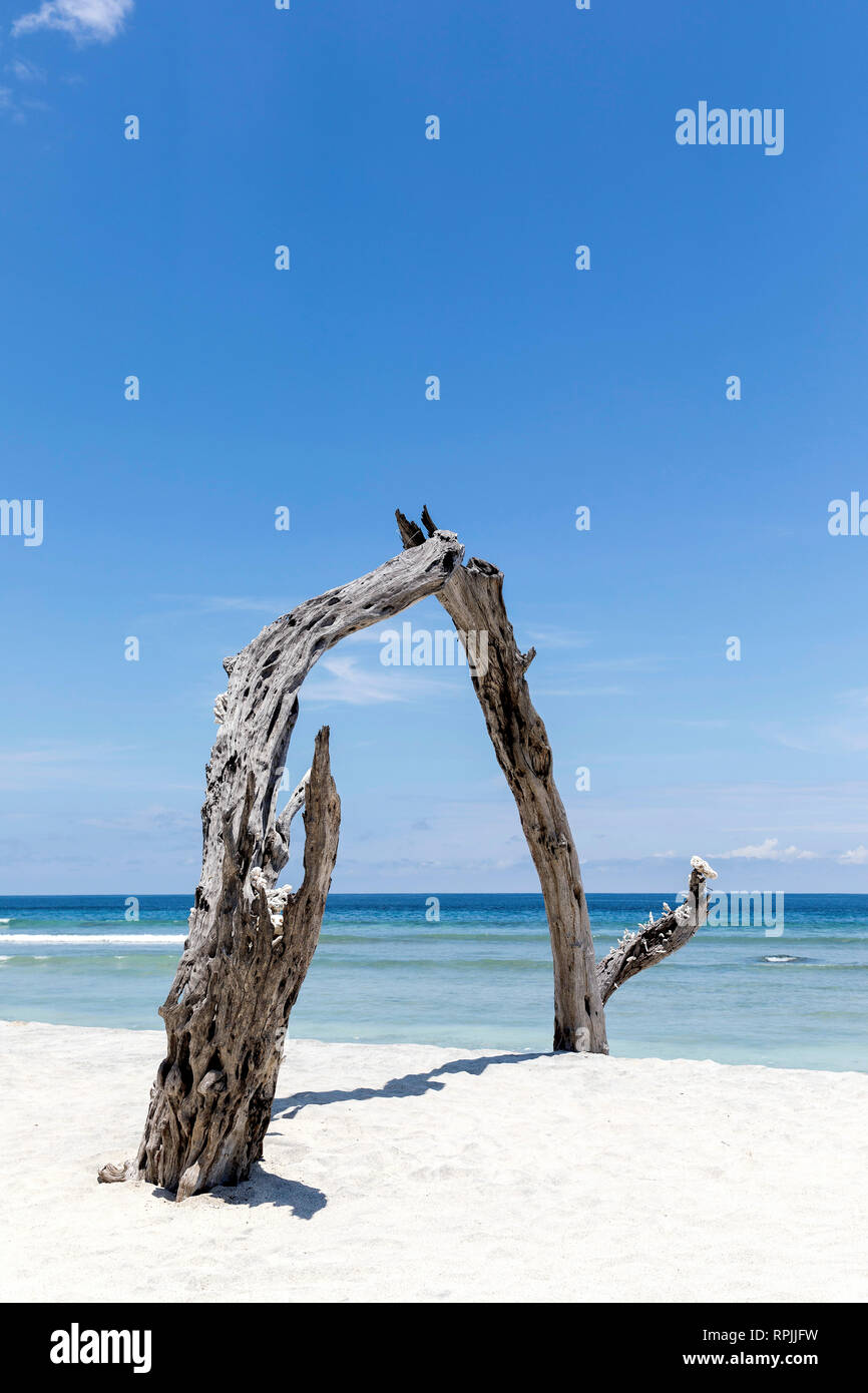 Beach image on the island of Gili Trawangan Located in Bali Indonesia ...