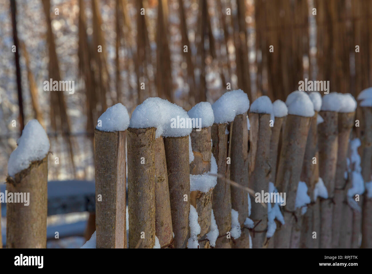 Bush hats hi-res stock photography and images - Alamy
