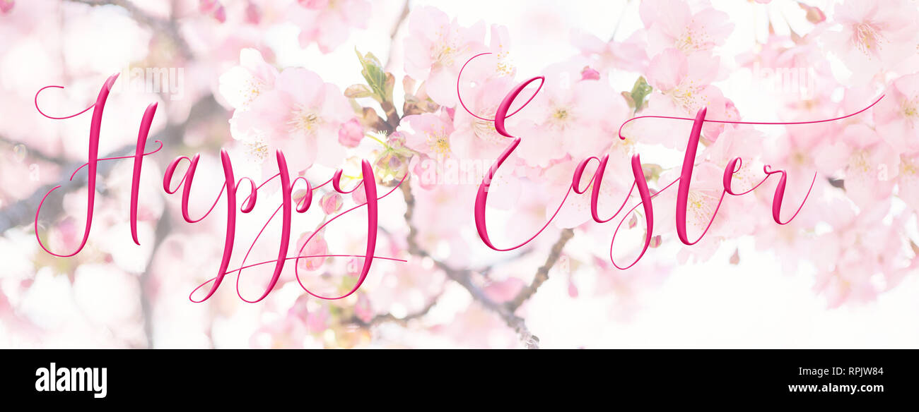 panoramic Easter background banner with pretty pink blossom, and â ...