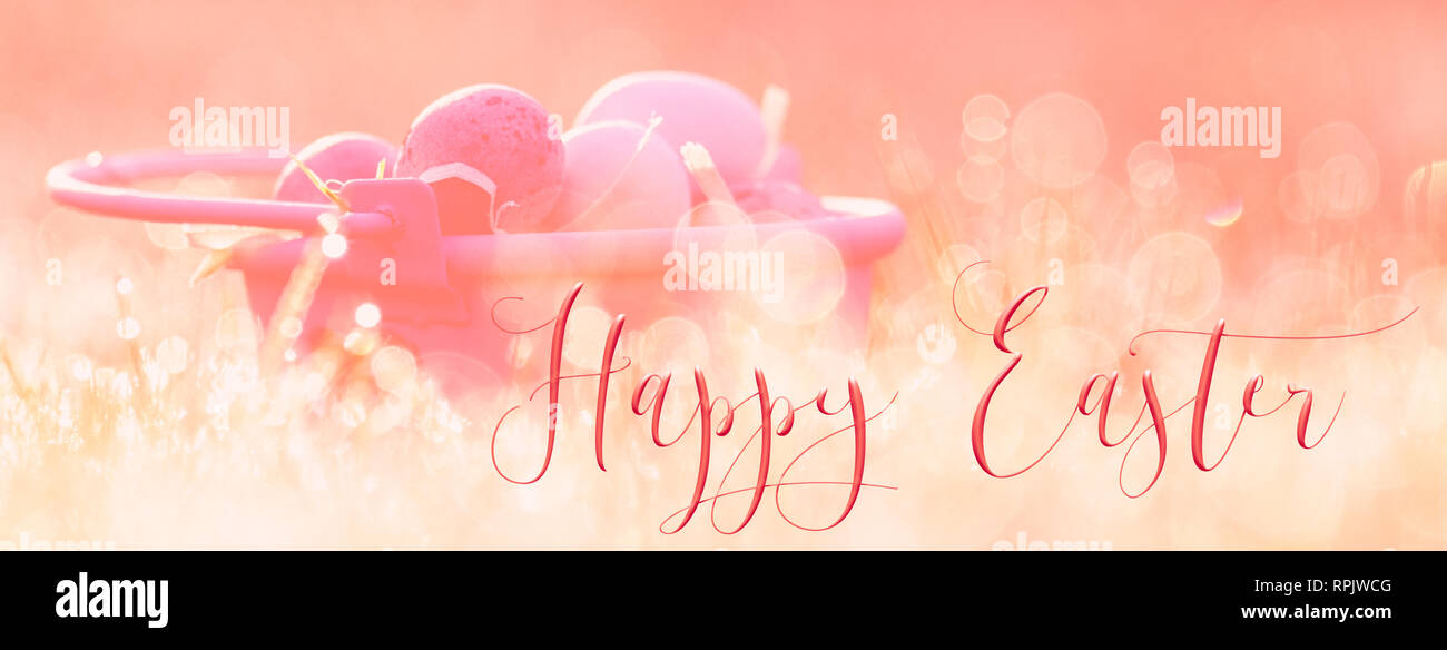 Easter header, background, with Mini easter eggs in a little pink ...