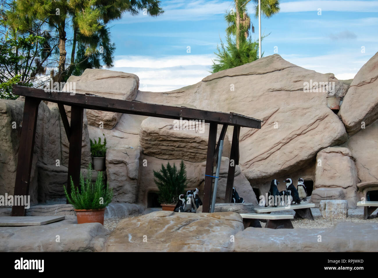 Zoomarine rome hi-res stock photography and images - Alamy