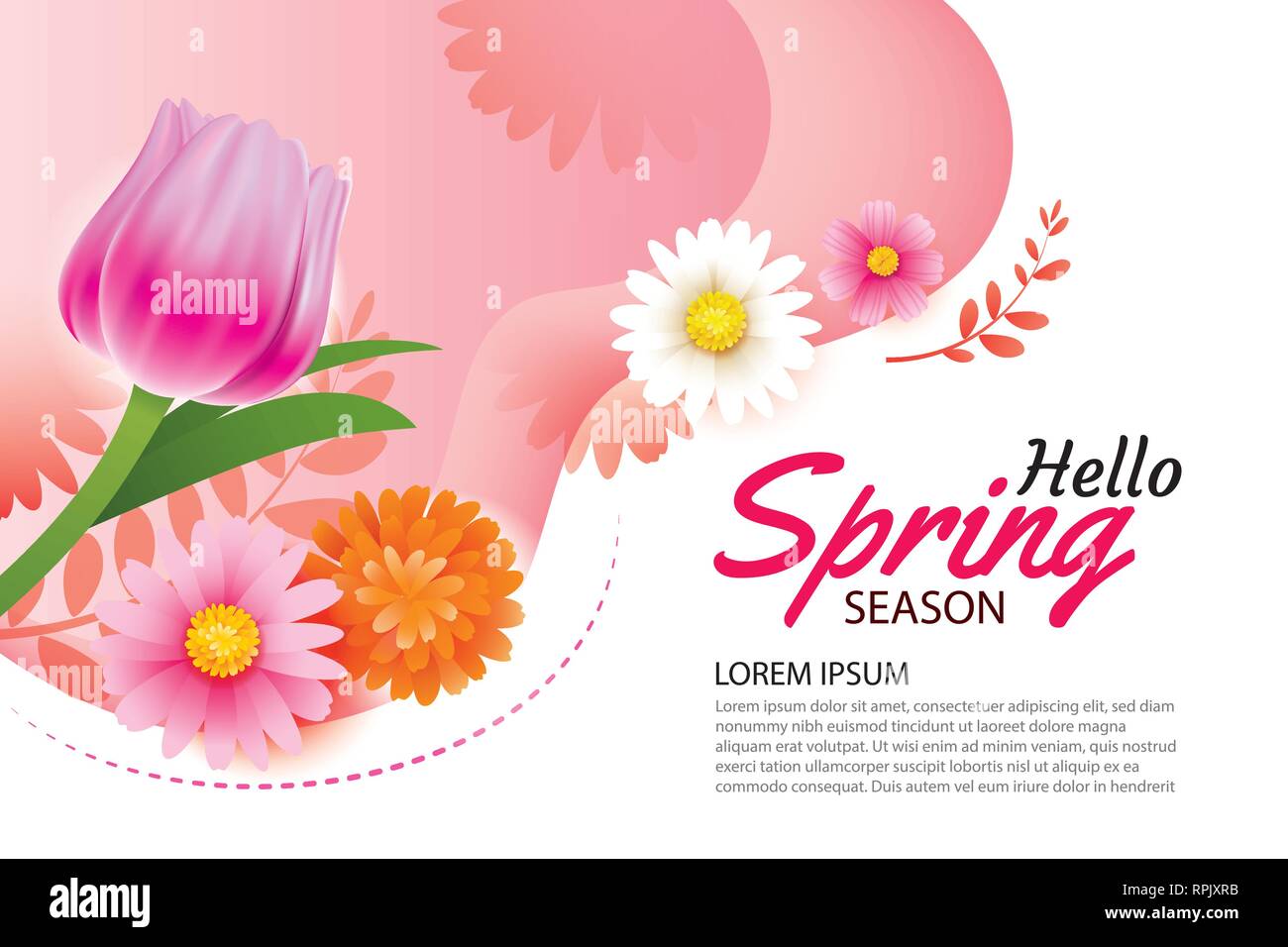 Hello spring greeting card and invitation with blooming flowers ...