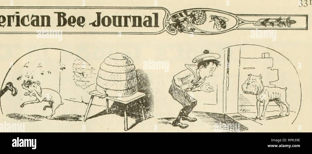 . American bee journal. Bee culture; Bees. American Hw -Journal. Please ...