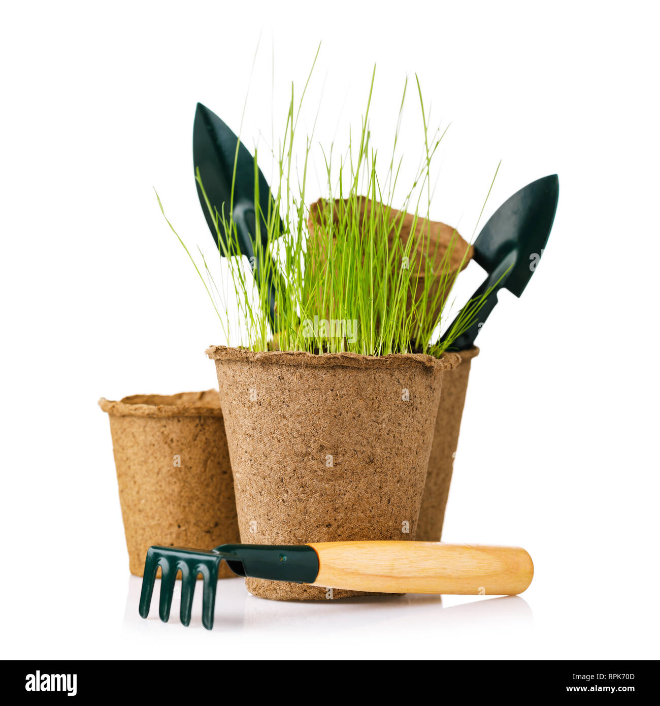 Tools for gardening: peat pot with seedlings, shovel and rake, isolated ...