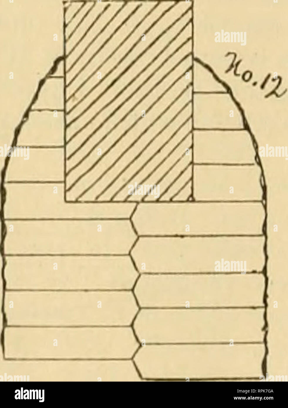 Burr comb hi-res stock photography and images - Alamy